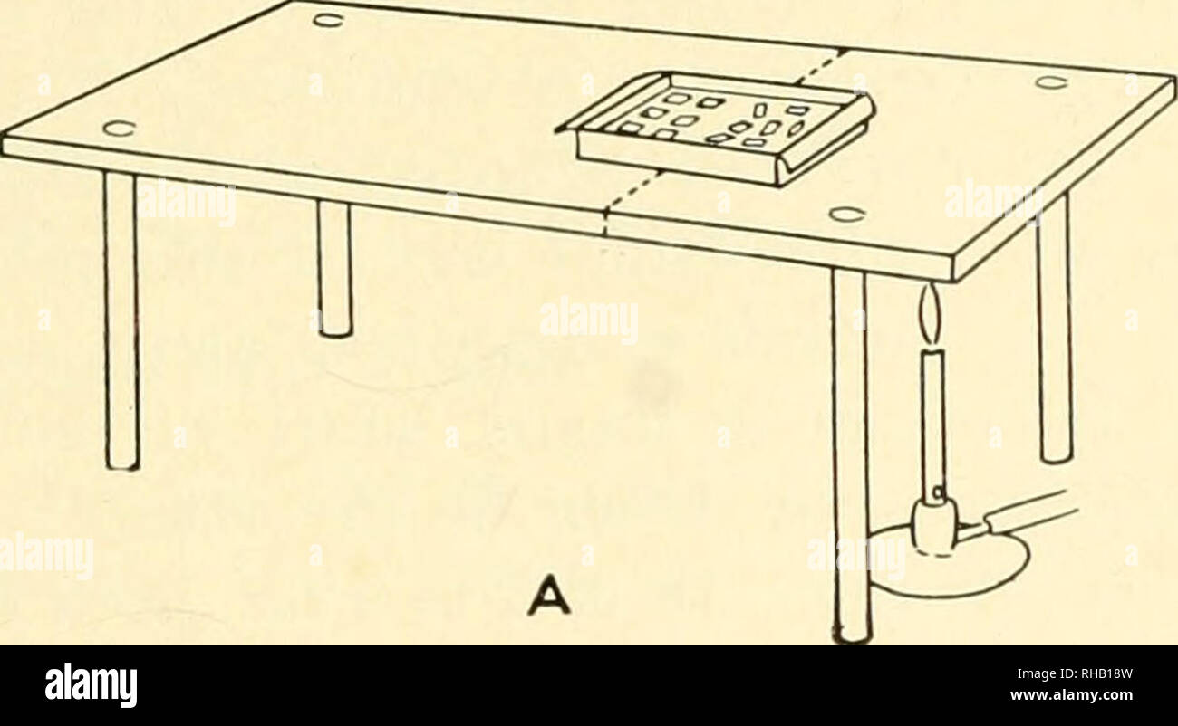 . Botanical microtechnique. Botany -- Anatomy; Botany -- Morphology ...