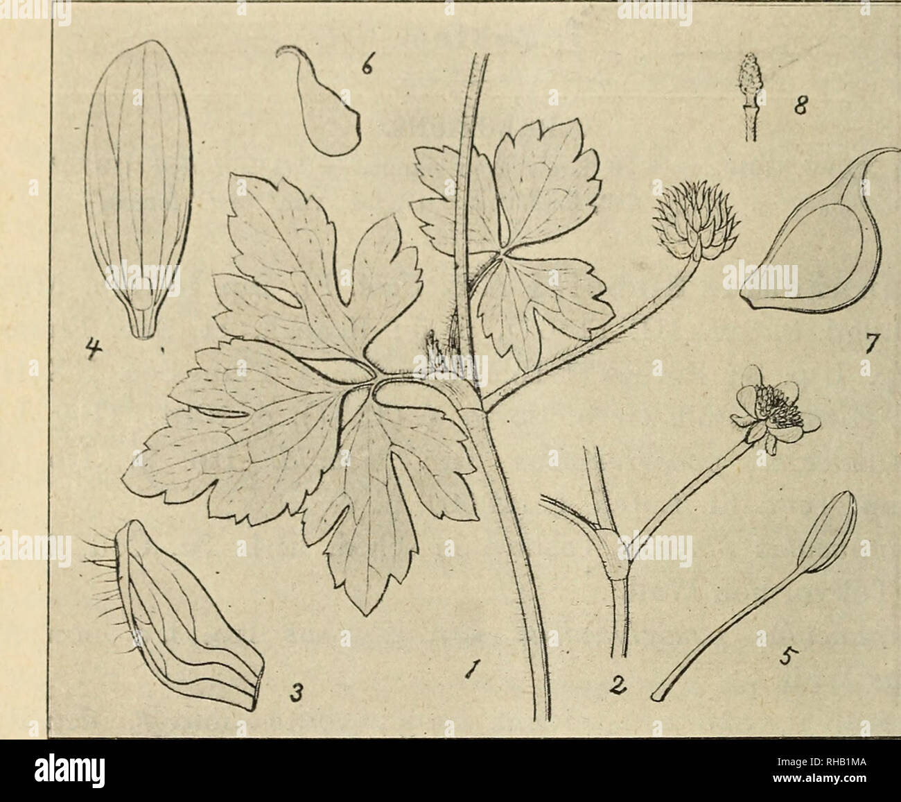 Scale 5mm hi-res stock photography and images - Alamy