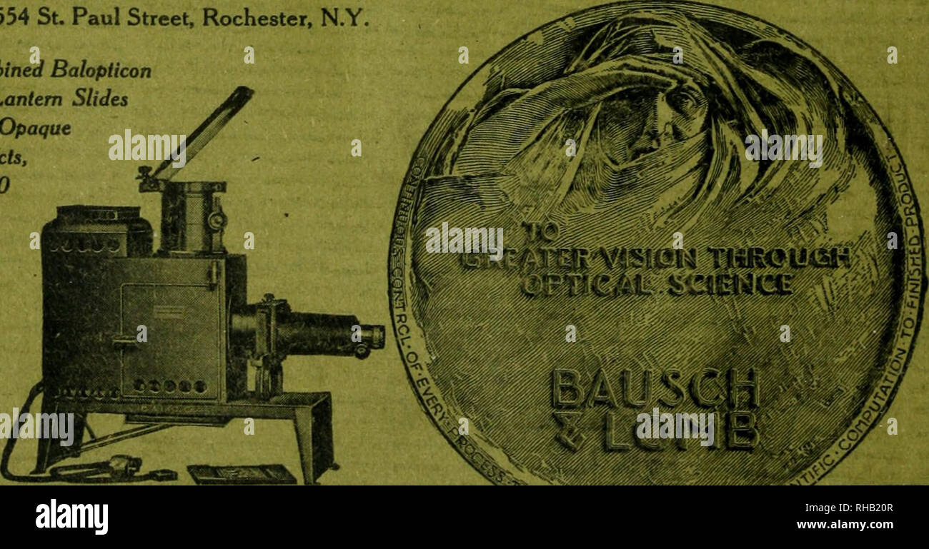 . Botanical gazette. Plants. Higgins' Drawing Inks Bterncil Writing Ink ...