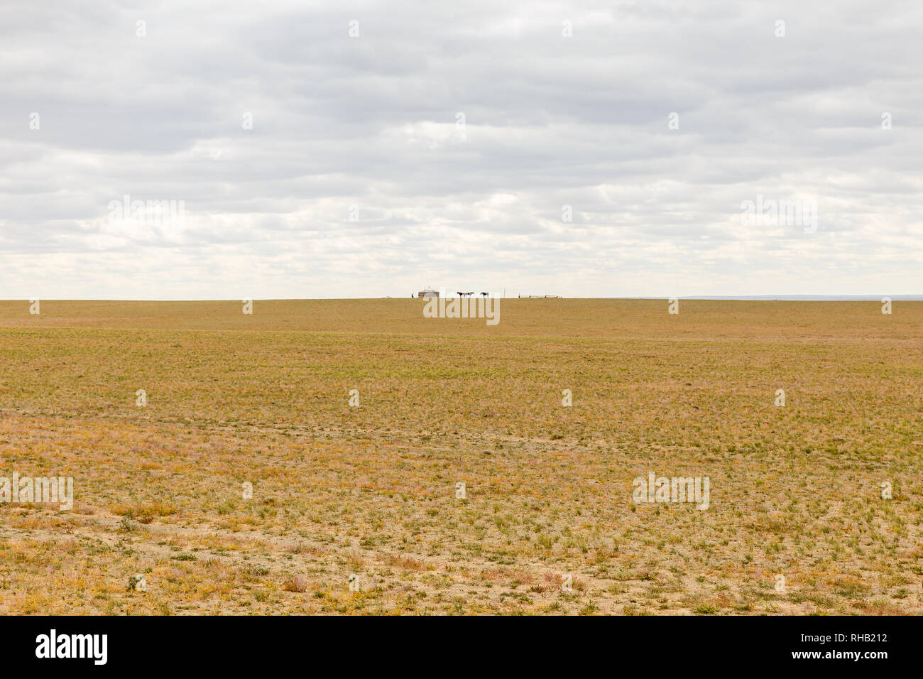 Mongolian landscape with yurt in background in the Gobi desert ...