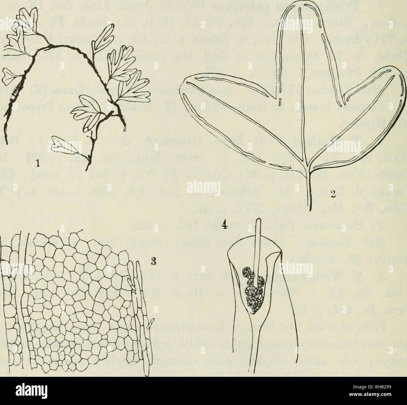 Terminales 1 hi-res stock photography and images - Alamy