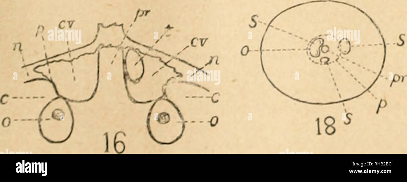 Cvy hi-res stock photography and images - Alamy