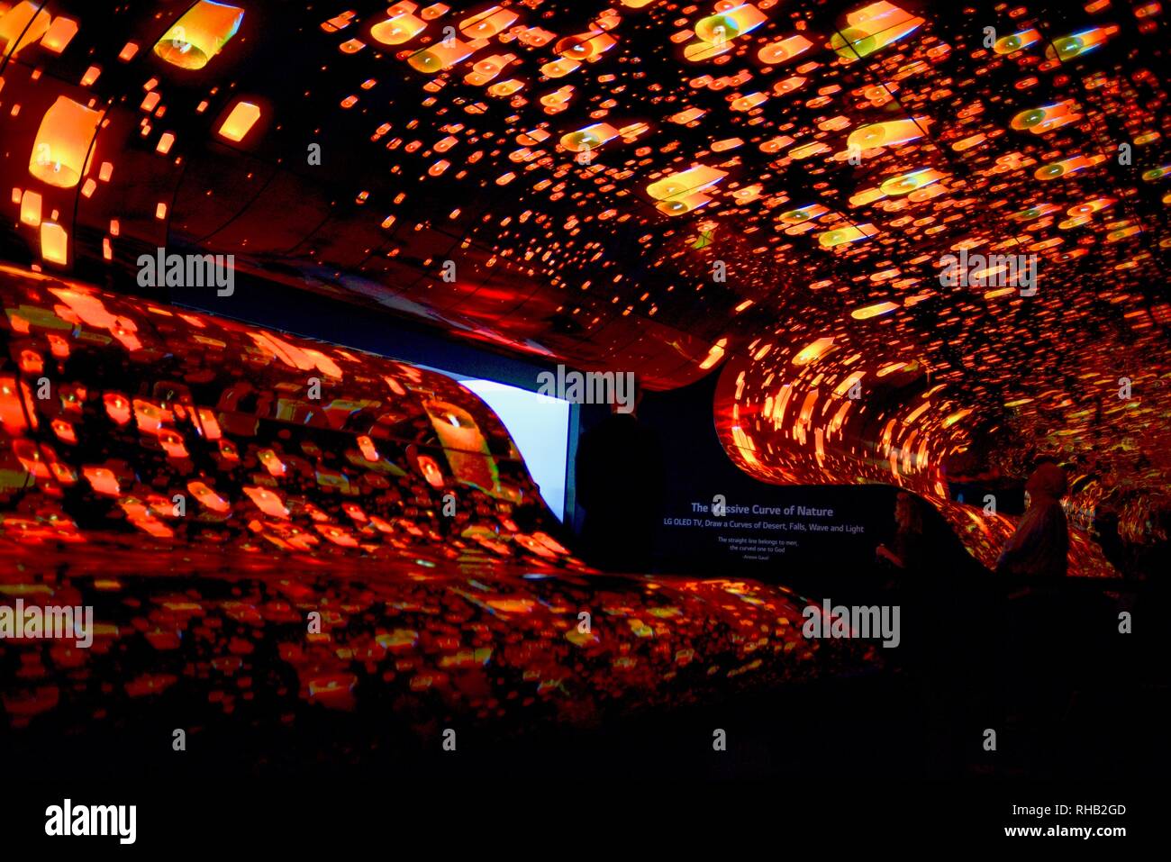 Wall and ceiling display, "massive curve of nature" - 260 55-inch ...