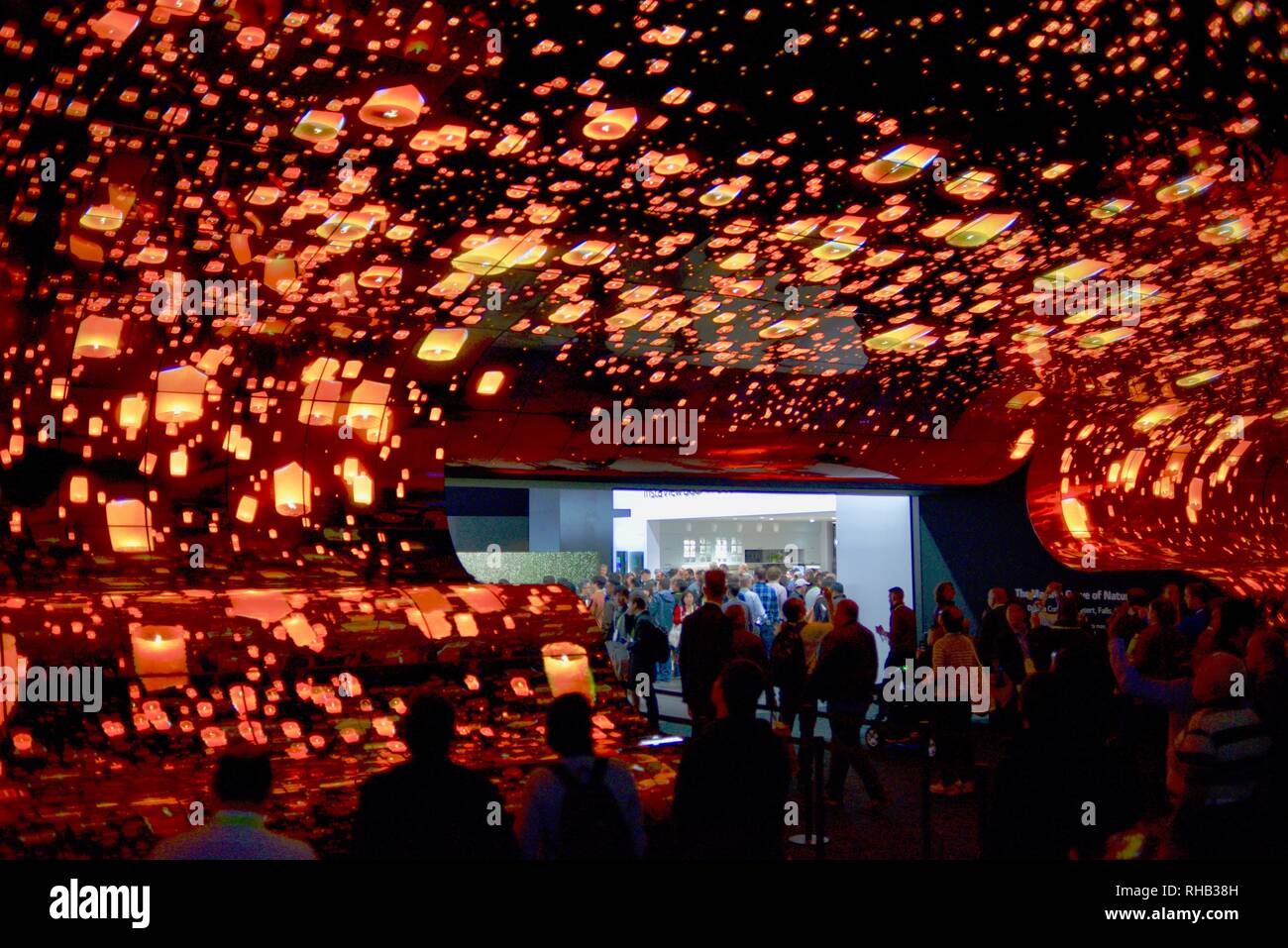 Wall and ceiling display, "massive curve of nature" - 260 55-inch ...