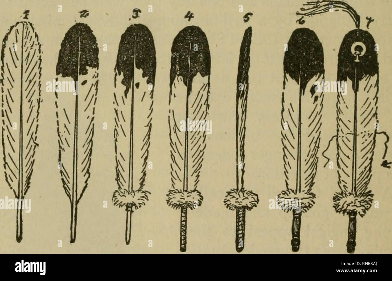 Square jawed hi-res stock photography and images - Alamy