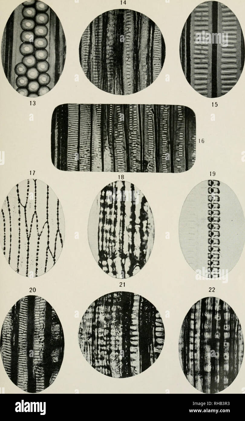 Hanover bars hi-res stock photography and images - Alamy