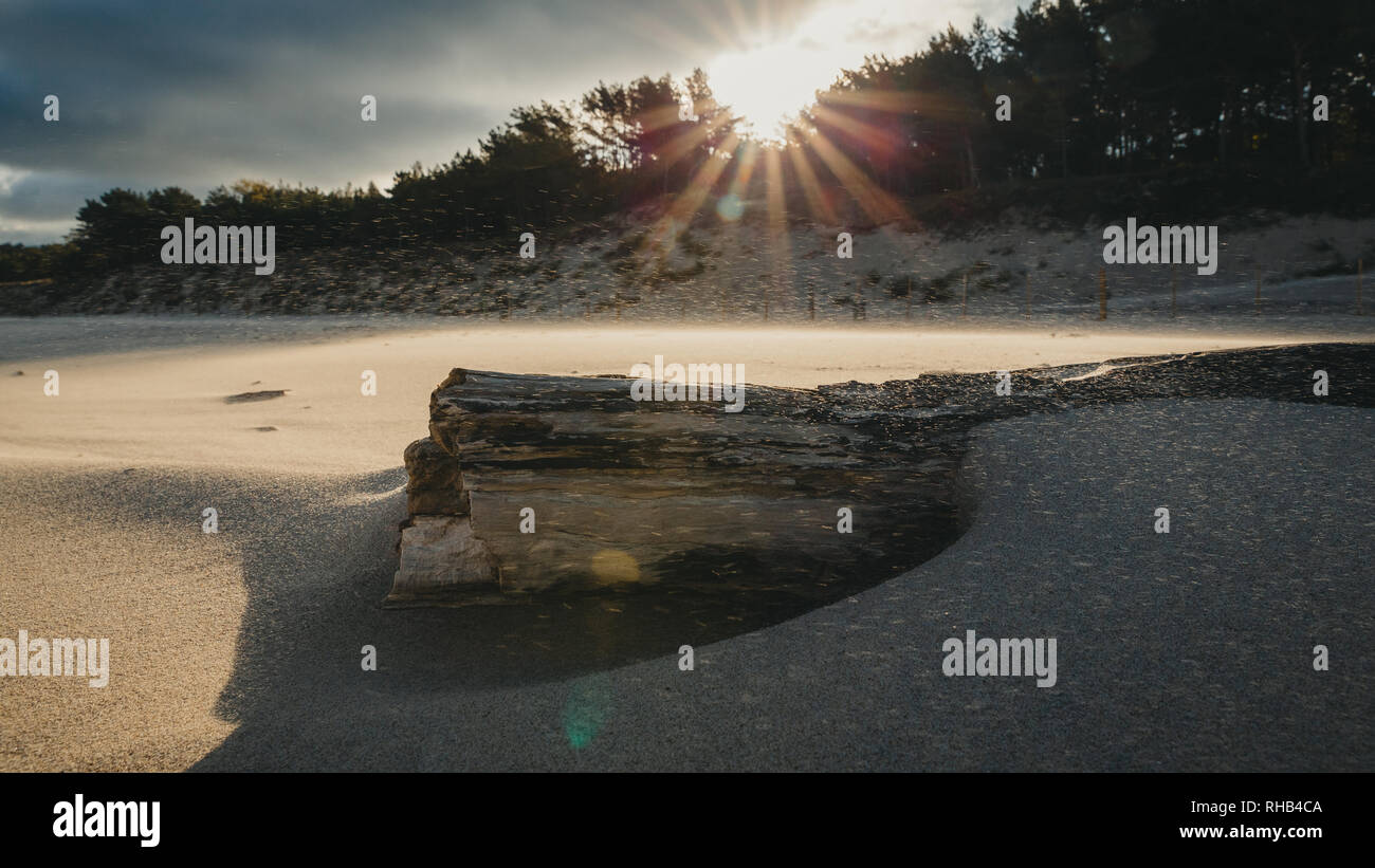 beach sand sunlight Stock Photo - Alamy