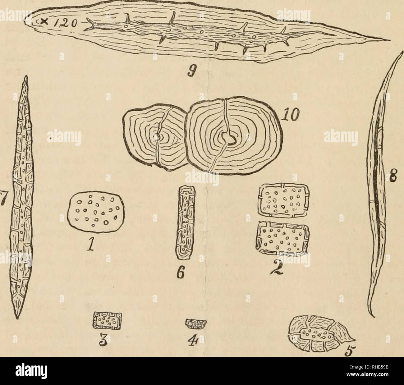 Rothrock High Resolution Stock Photography and Images - Alamy