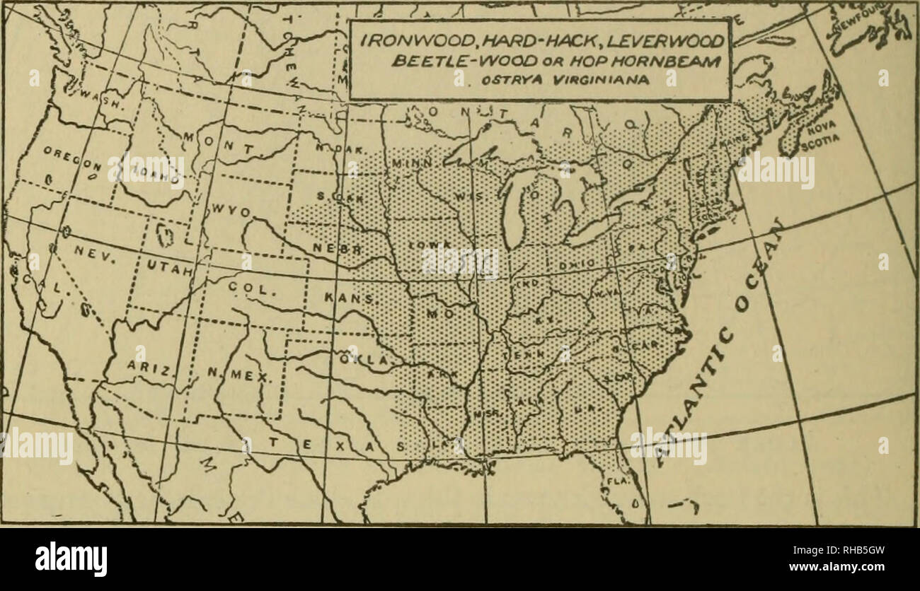 30 feet tall wings hi-res stock photography and images - Alamy