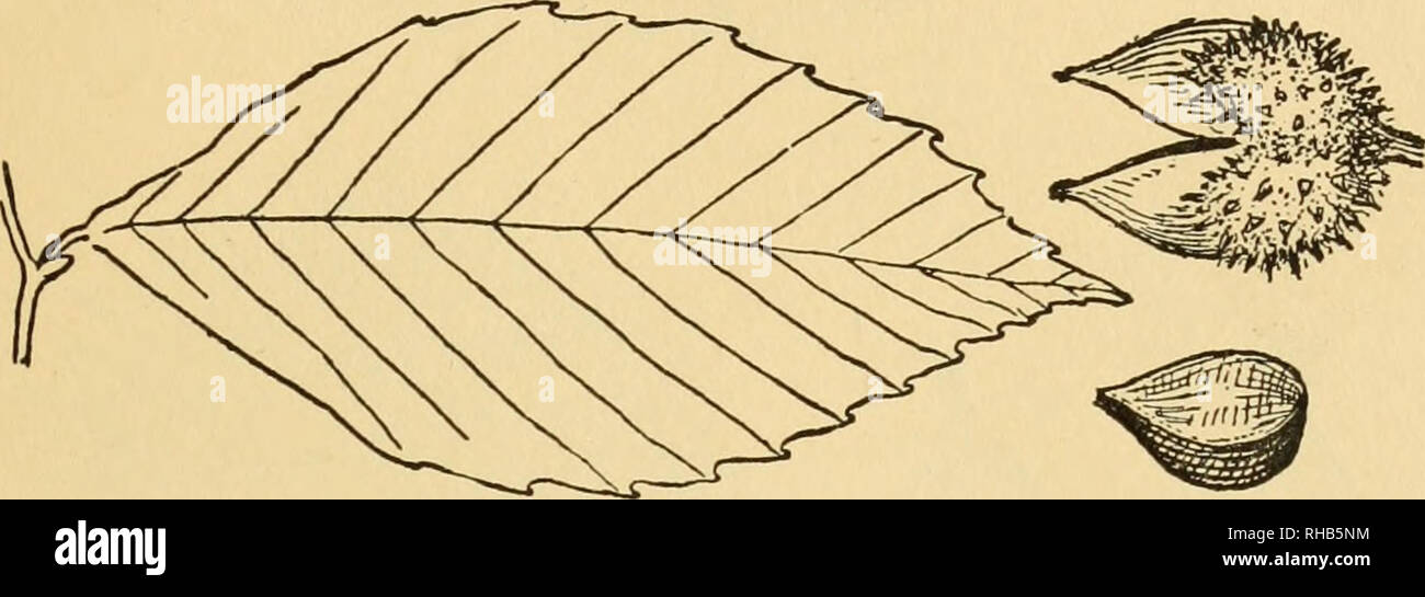 80 cubic inches hi-res stock photography and images - Alamy