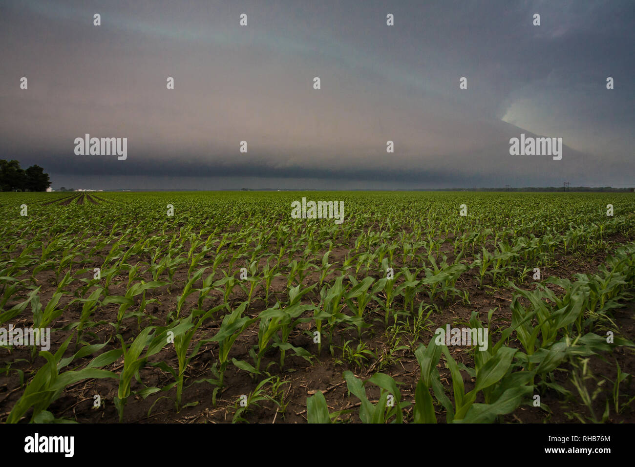 , Logan County, Illinois, USA Stock Photo - Alamy