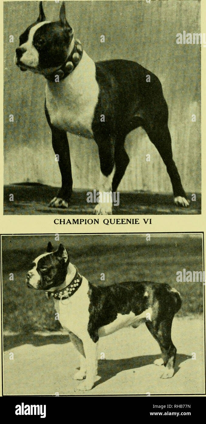 Tom sayers hi-res stock photography and images - Alamy