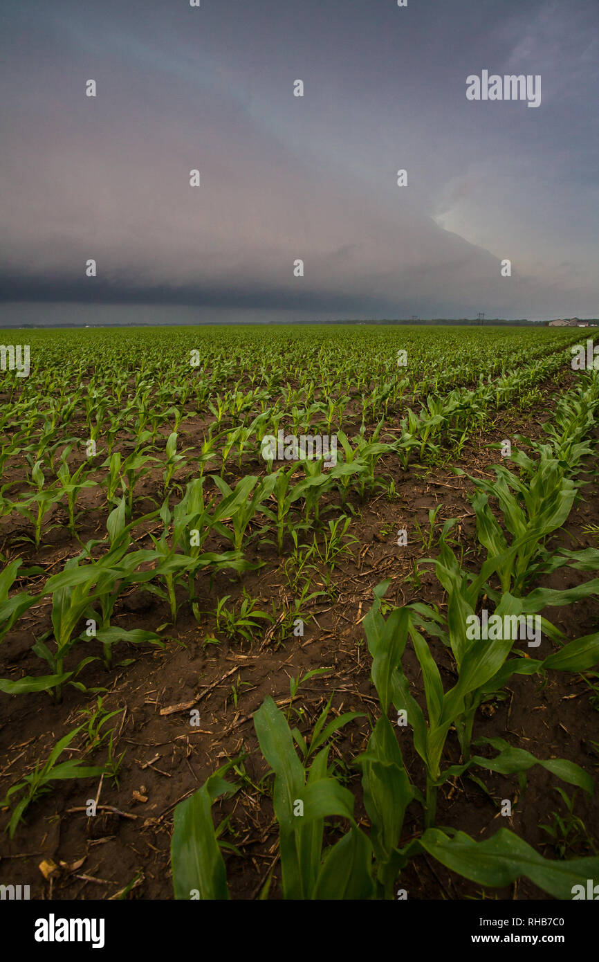 , Logan County, Illinois, USA Stock Photo - Alamy