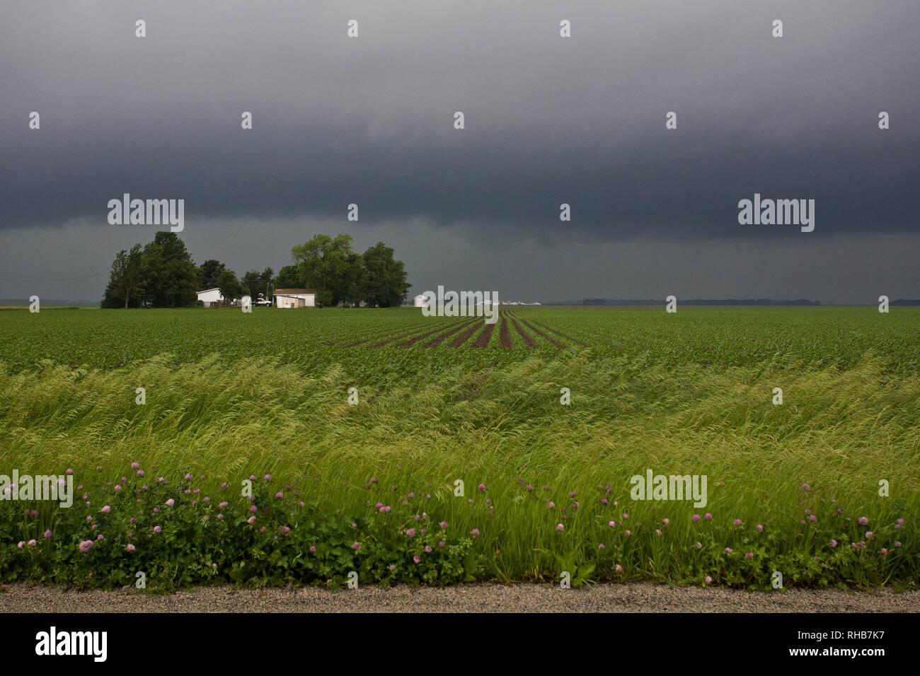 Logan field hi-res stock photography and images - Alamy