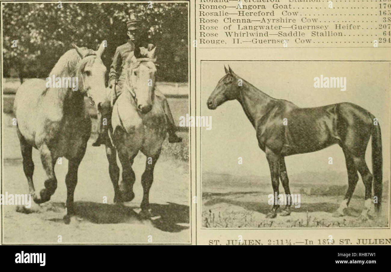 Prize winners hero prize hi-res stock photography and images - Alamy