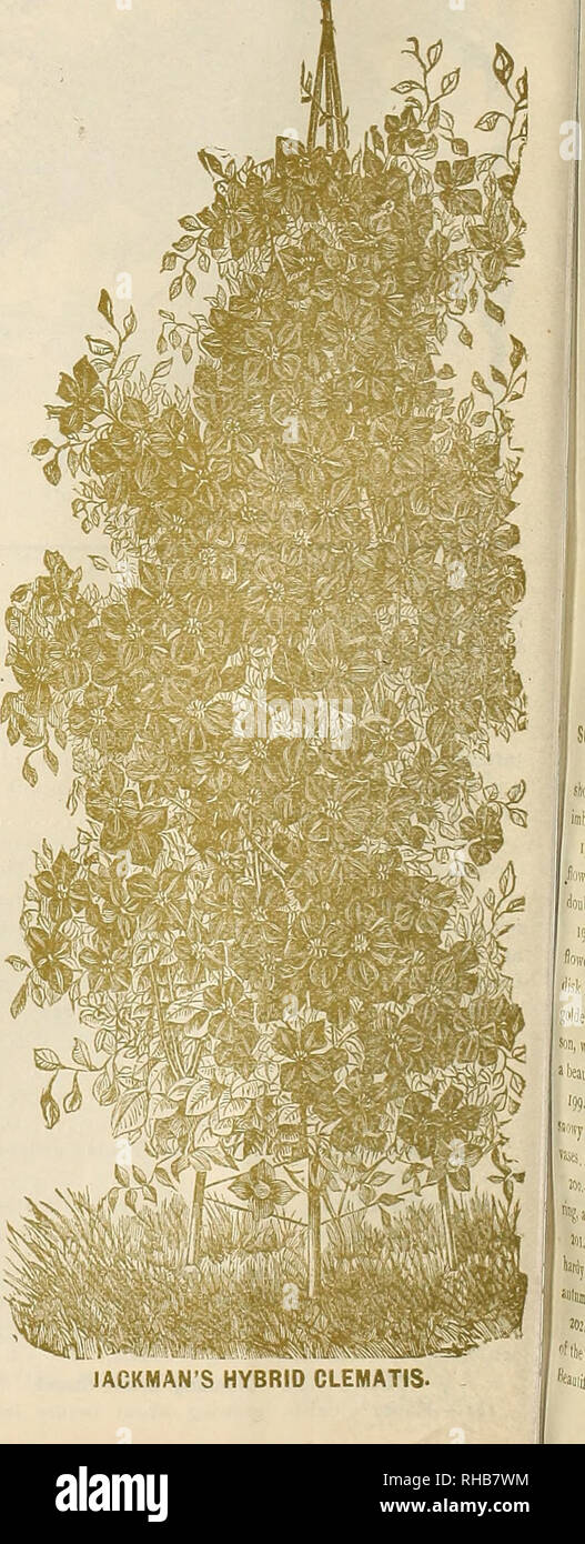 Cripsa hi-res stock photography and images - Alamy