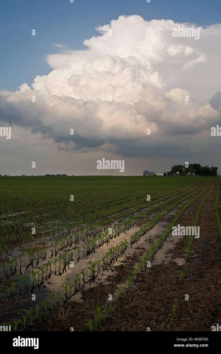 Illinois logan county hi-res stock photography and images - Alamy