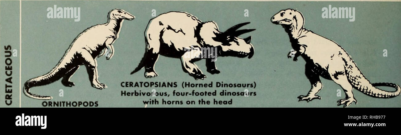 . The dinosaur book : the ruling reptiles and their relatives ...