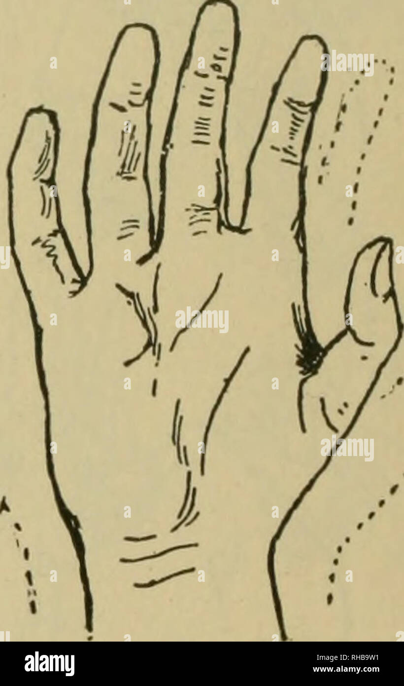 Ais indians hi-res stock photography and images - Alamy