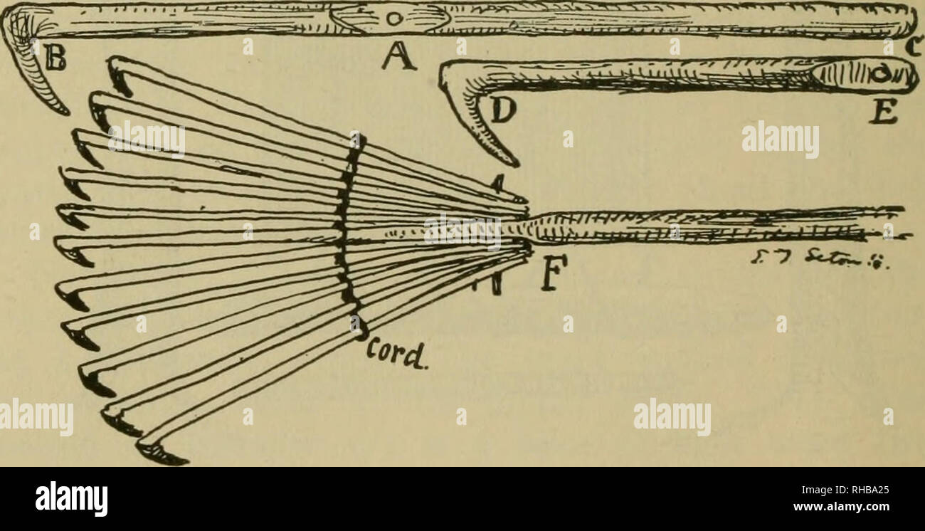 Weavers beam hi-res stock photography and images - Alamy