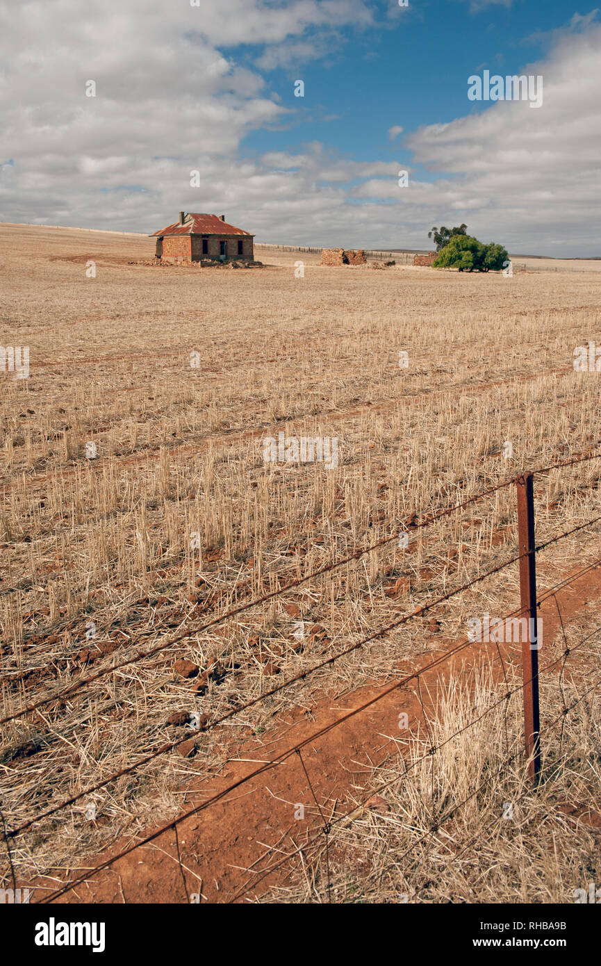 Australian squatter hi-res stock photography and images - Alamy