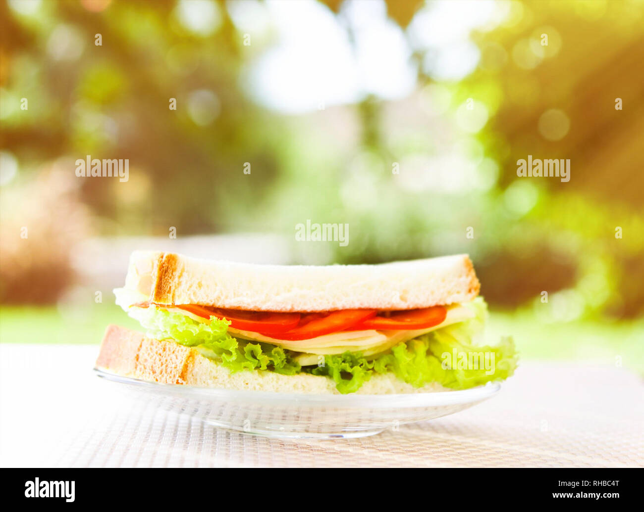 Vegetarian low carb sandwich - healthy diet, homemade and eating ...