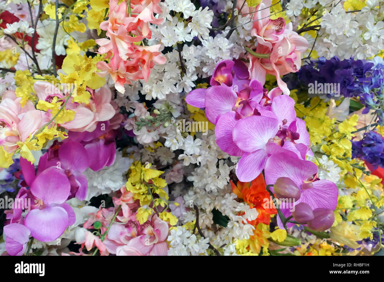 A colorful group of flowers in a garden in Tokyo, Japan Stock Photo - Alamy