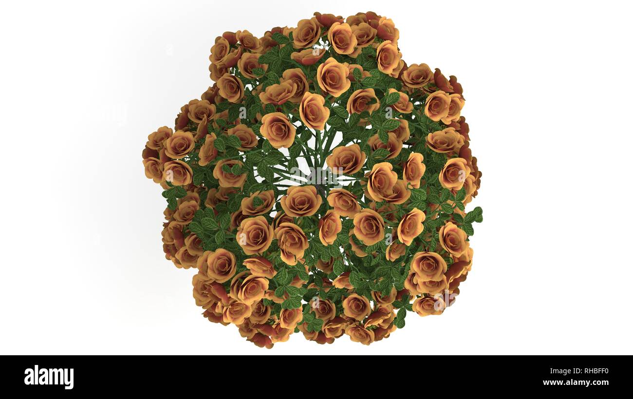 3d rendering of a green plant isolated on a white background Stock ...