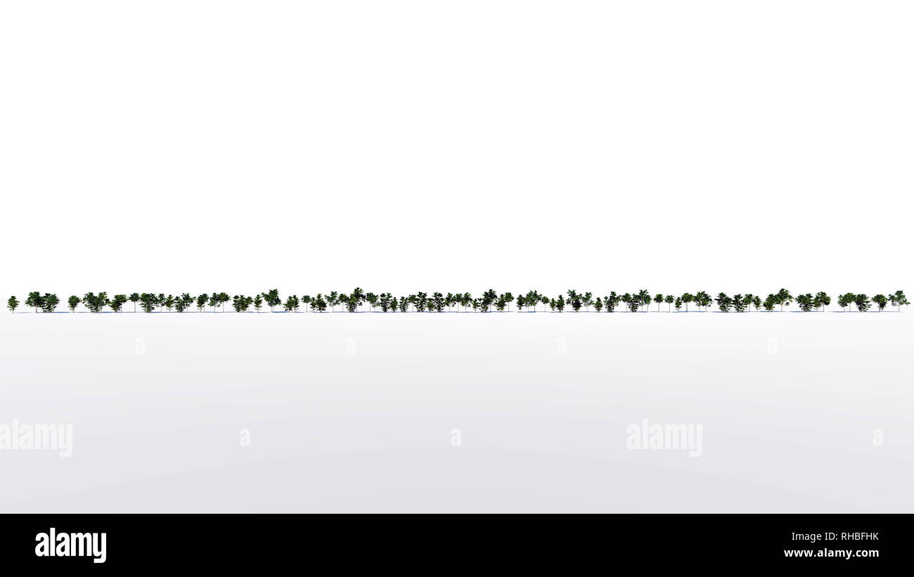 3d rendering of a group of tree raw for architectrural background use ...