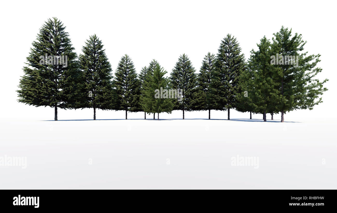 3d rendering of a group of tree raw for architectrural background use ...