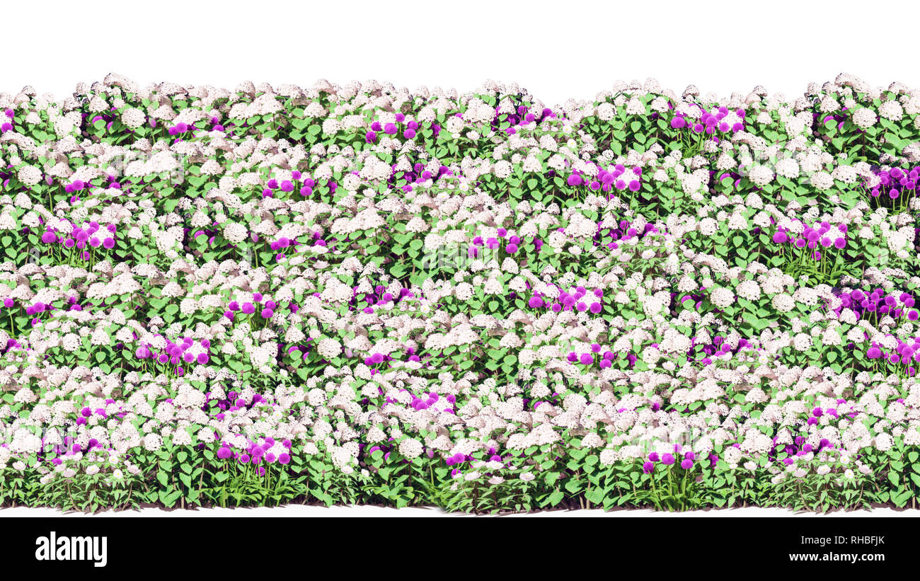 3d rendering of row of flowers isolated on a white background for ...