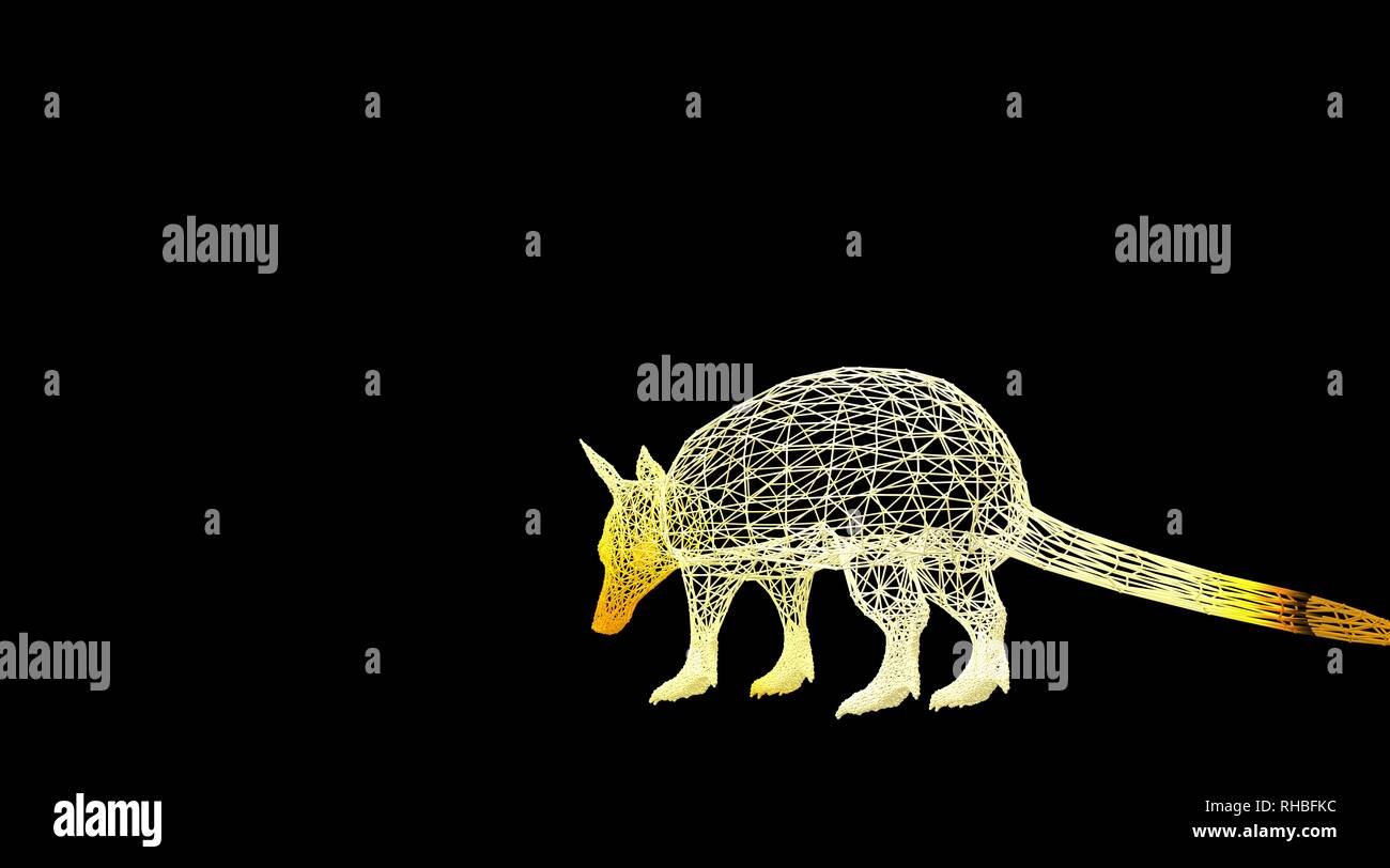 3d rendering of an animal wireframe isolated on a black background ...