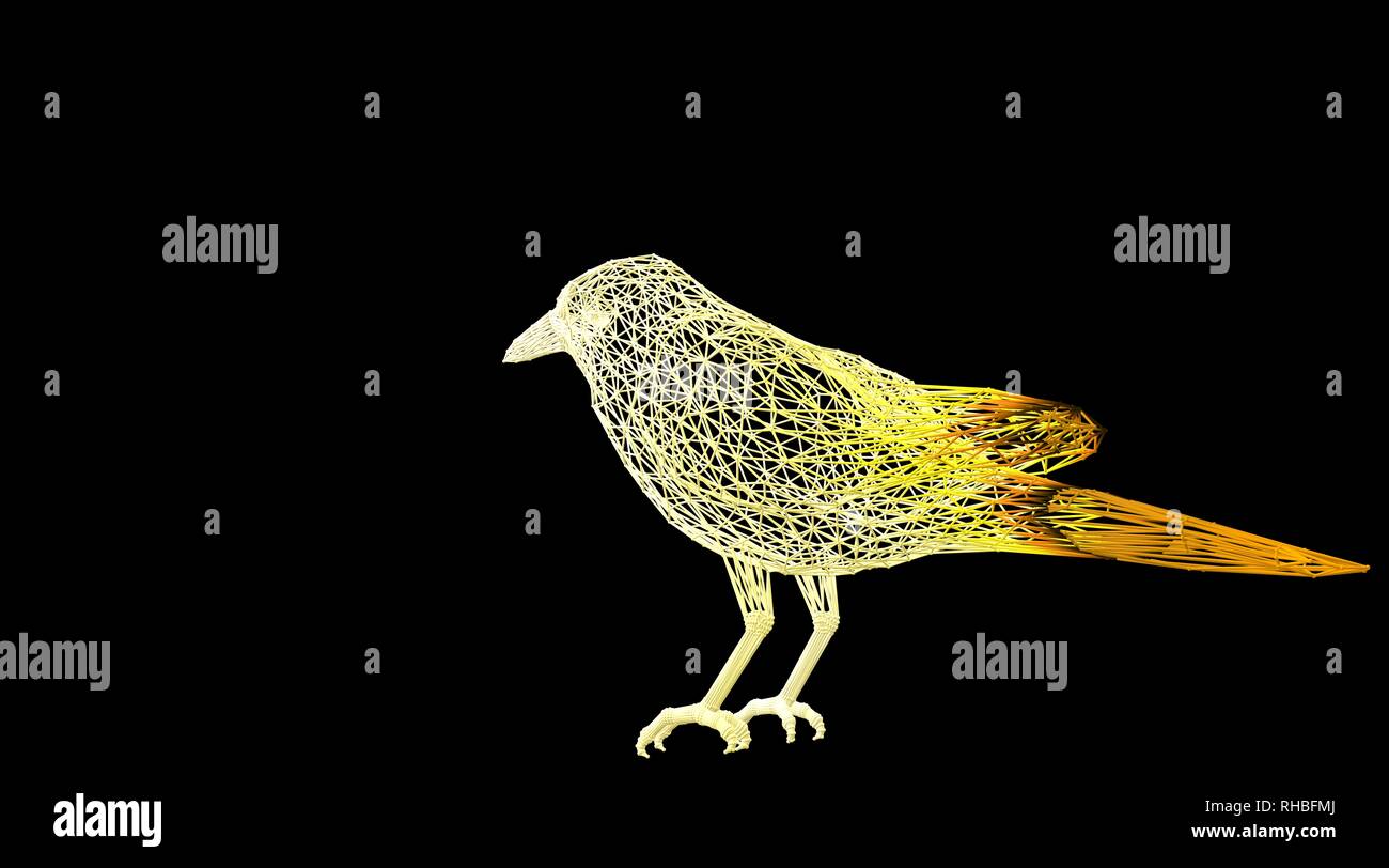 3d rendering of an animal wireframe isolated on a black background ...