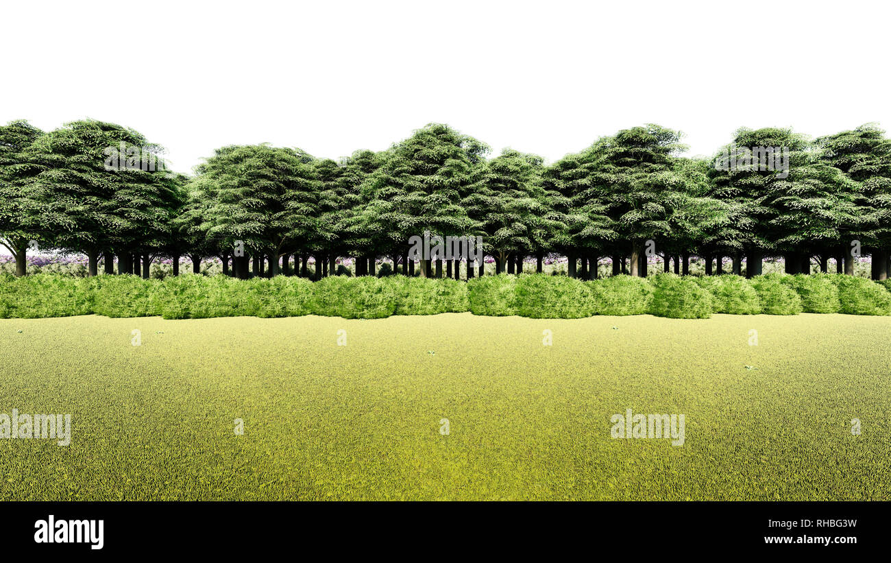 3d rendering of a group of plants raw for architectrural background use ...