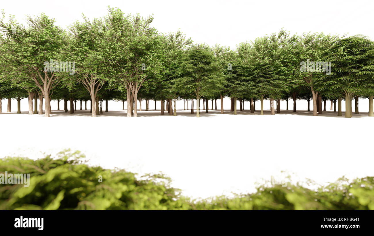 3d rendering of a group of plants raw for architectrural background use ...