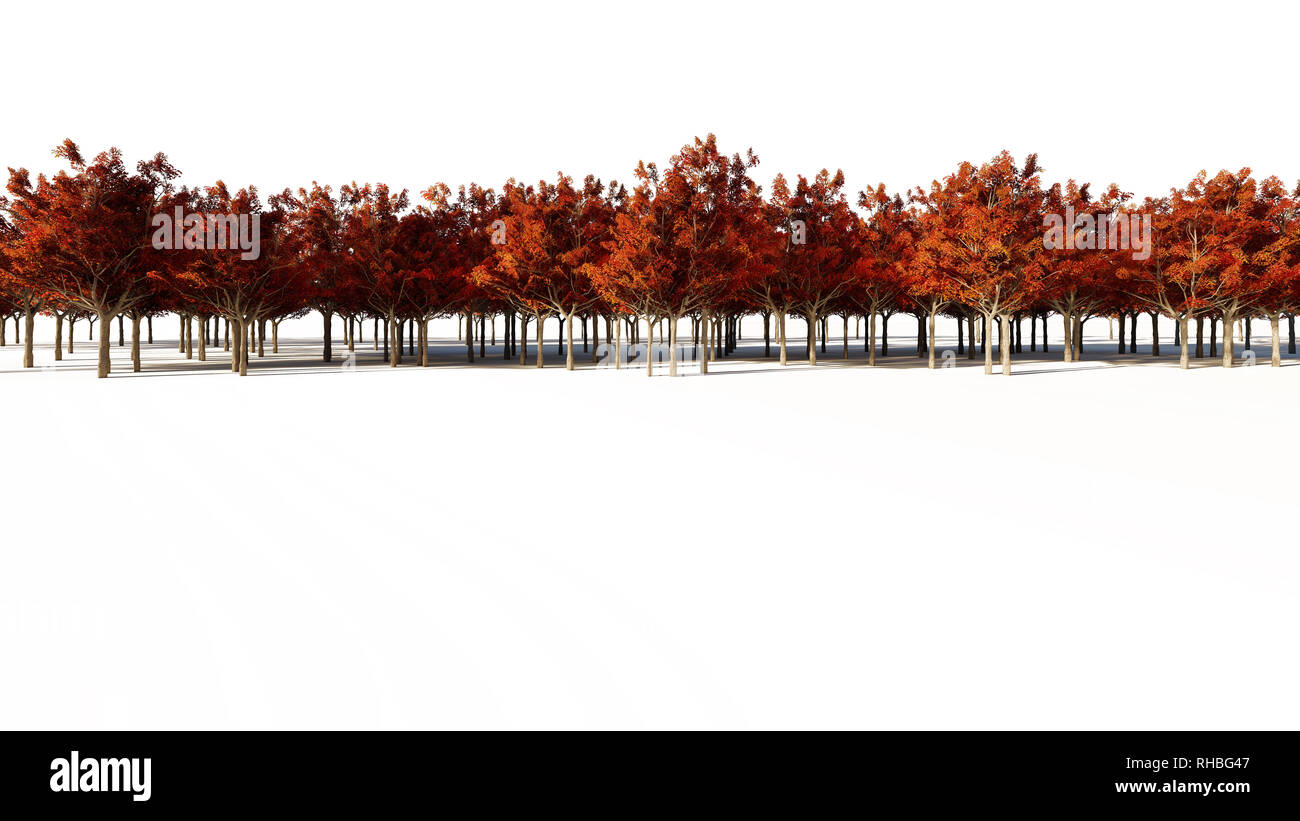 3d rendering of a group of plants raw for architectrural background use ...