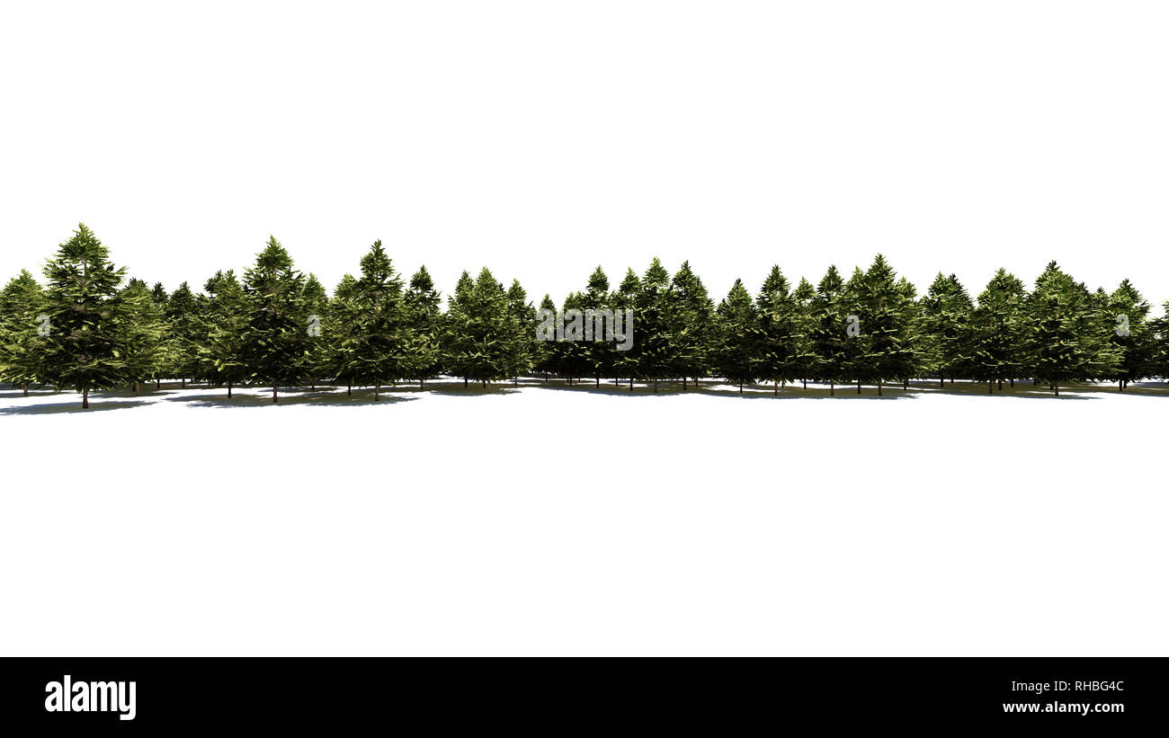 3d rendering of a plants row for architectrural background use isolated ...