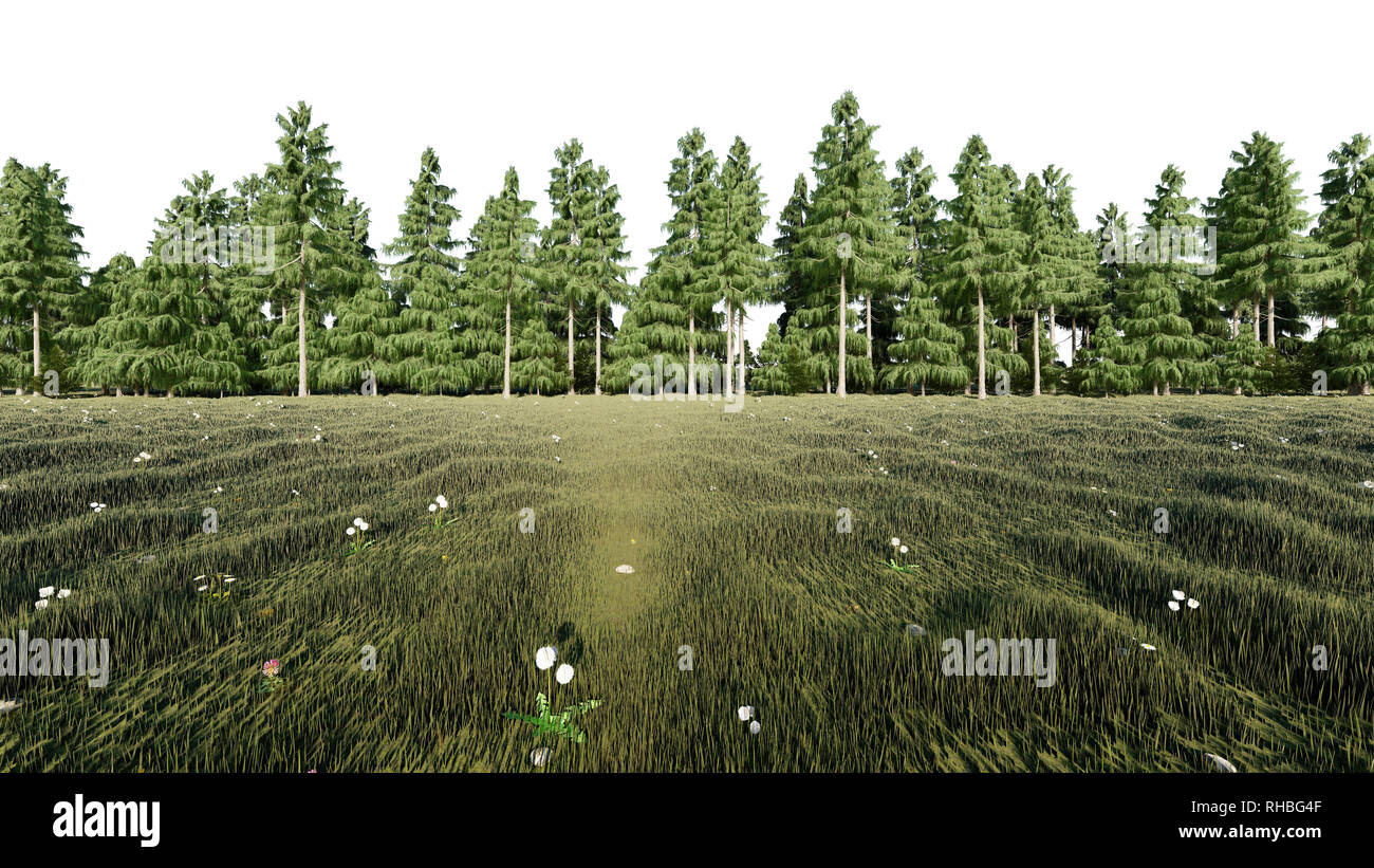 3d rendering of a plants row for architectrural background use isolated ...