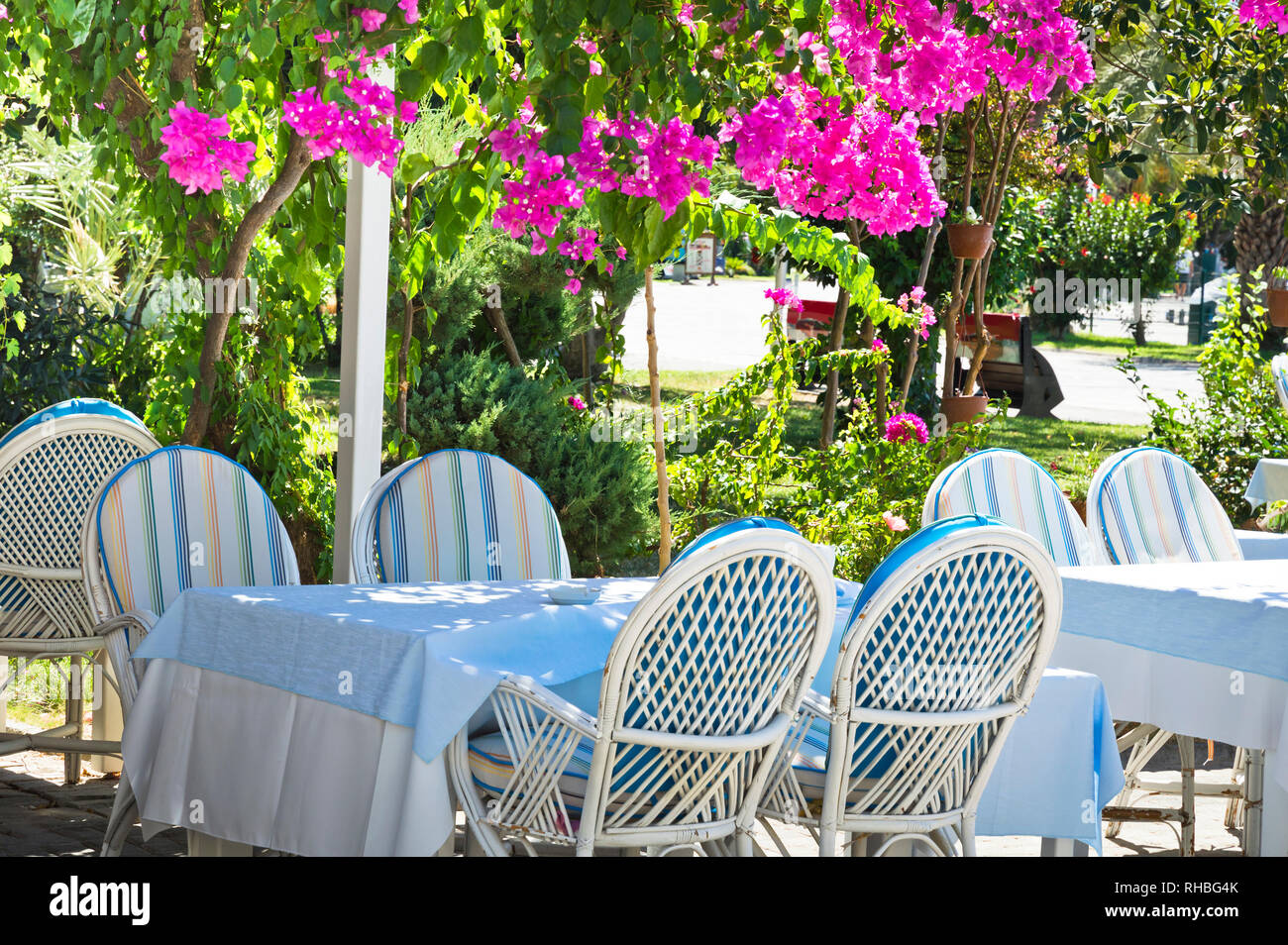 Flower and Cafe Stock Photo - Alamy