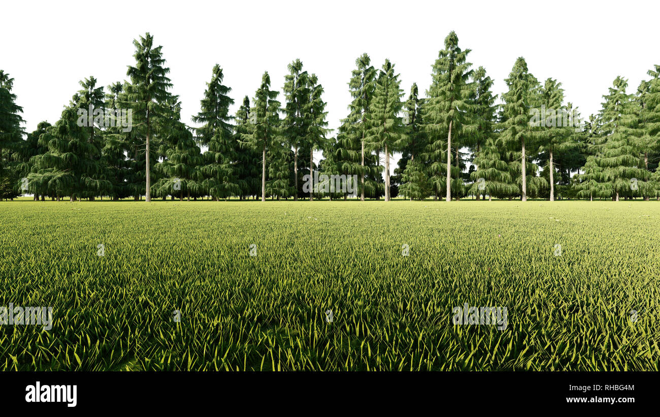 3d rendering of a plants row for architectrural background use isolated ...
