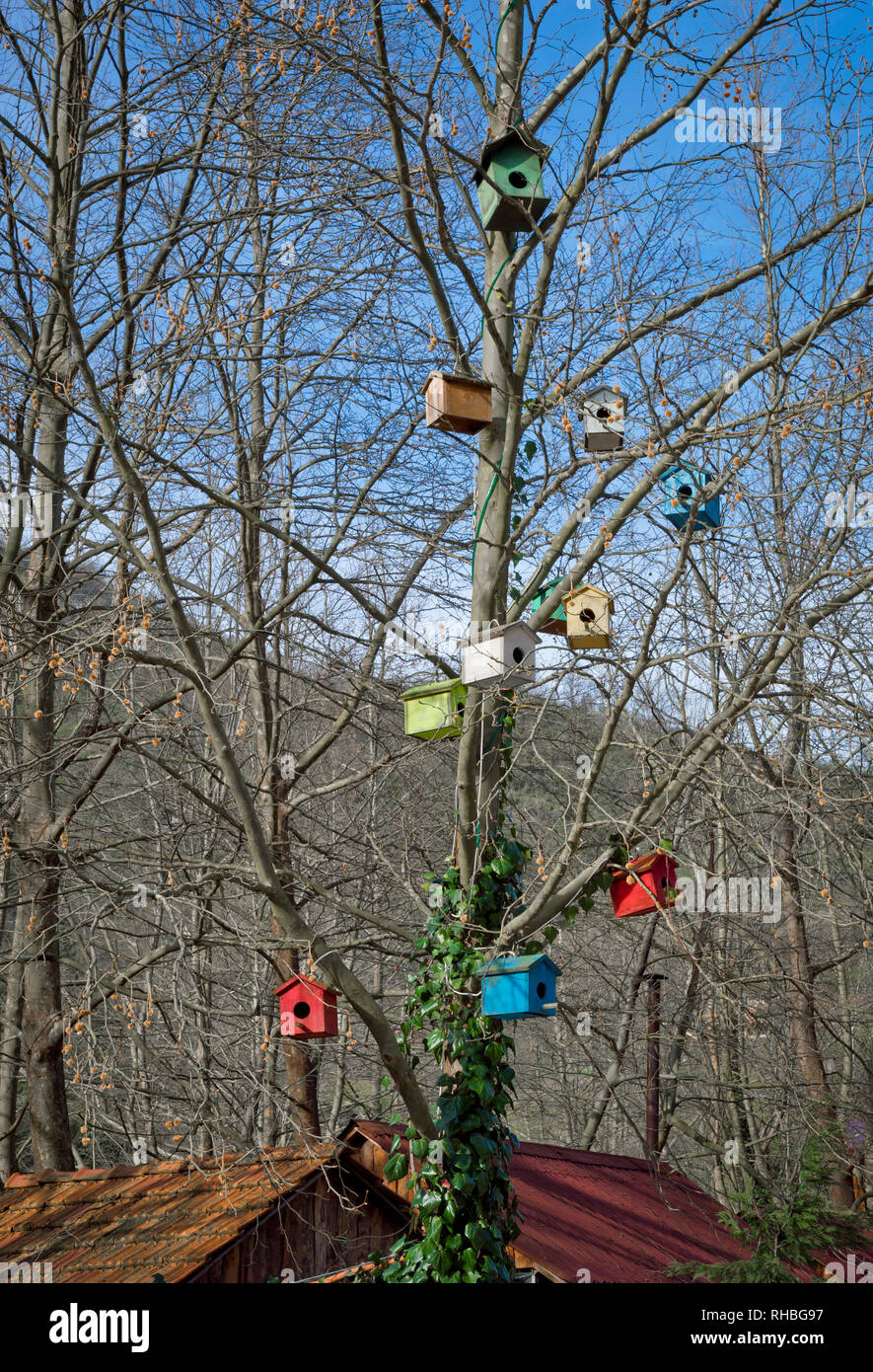 Colorful birdhouse winter hi-res stock photography and images - Alamy