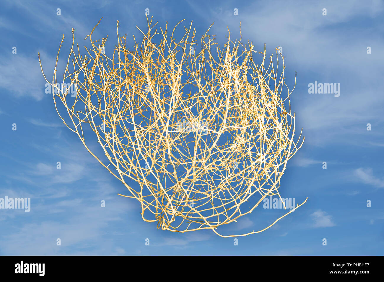 Tumble weed rolling hi-res stock photography and images - Alamy