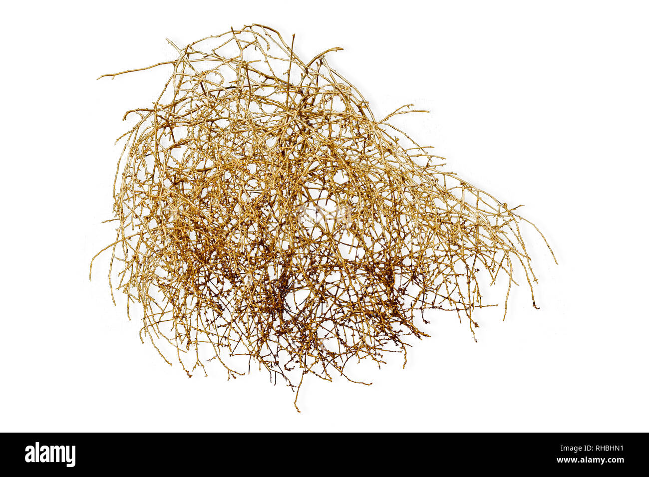 Tumbleweed on white background Stock Photo - Alamy