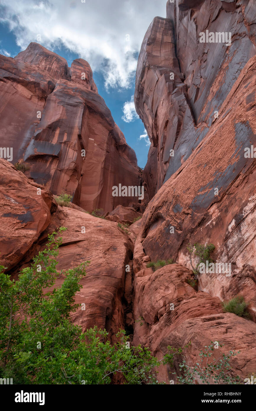 Canyon Country, red rocks of the Colorado river, in Colorado and Utah ...