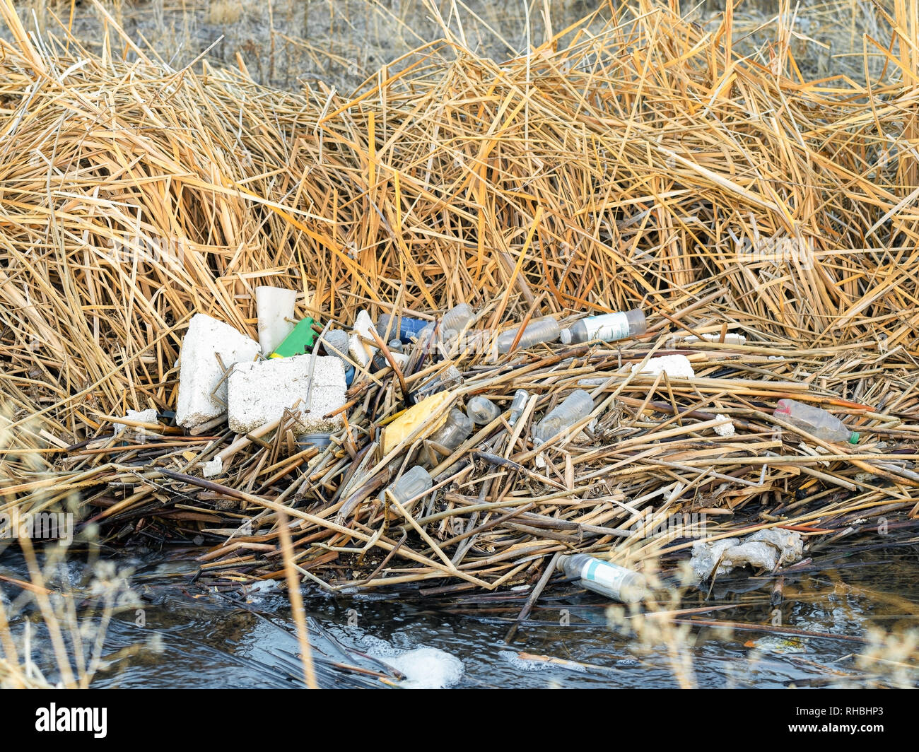 Plastic pollution impact hi-res stock photography and images - Alamy