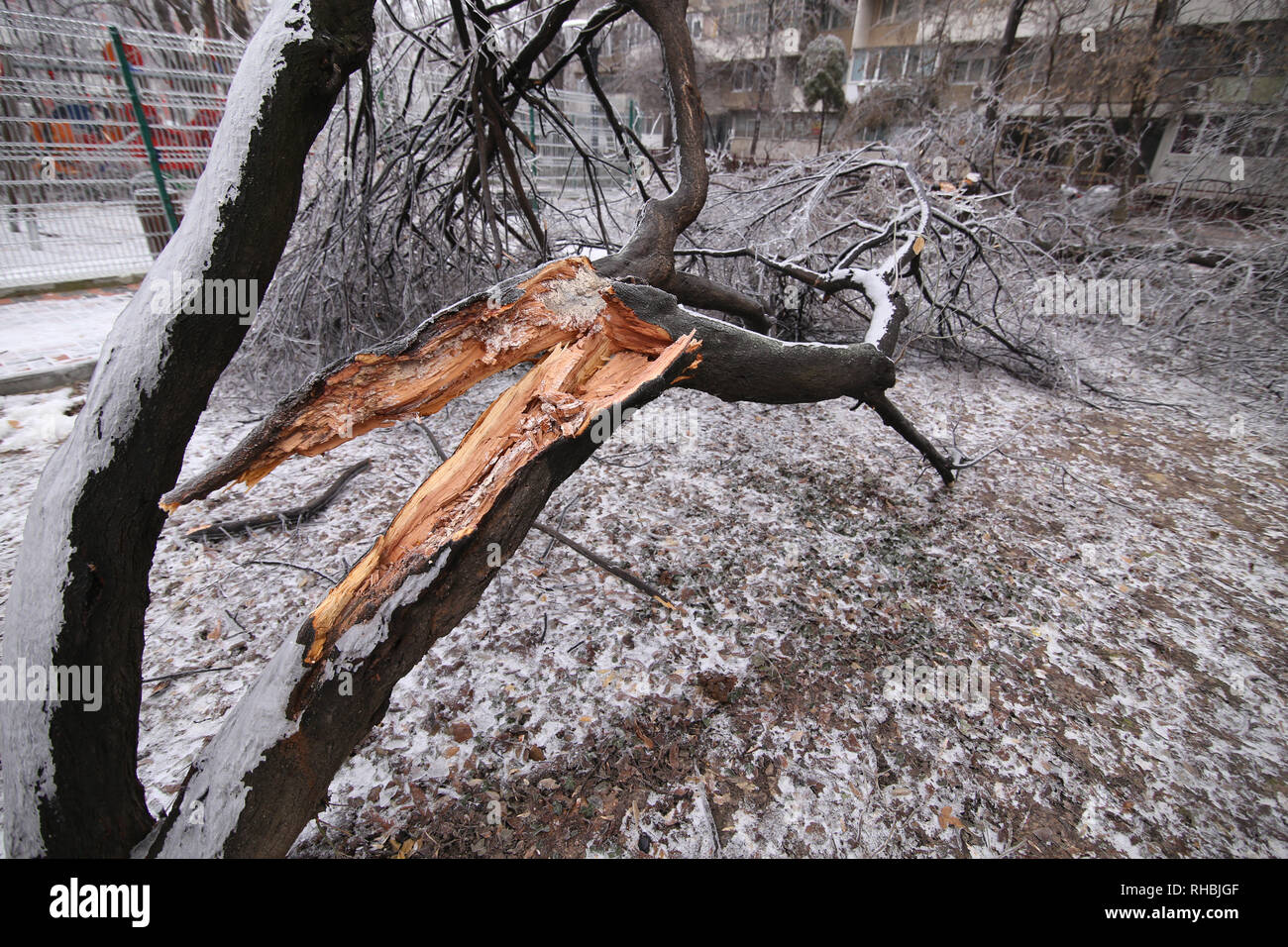Freezing rain ice hi-res stock photography and images - Alamy
