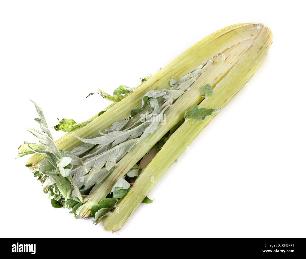 fresh cardoon in front of white background Stock Photo - Alamy