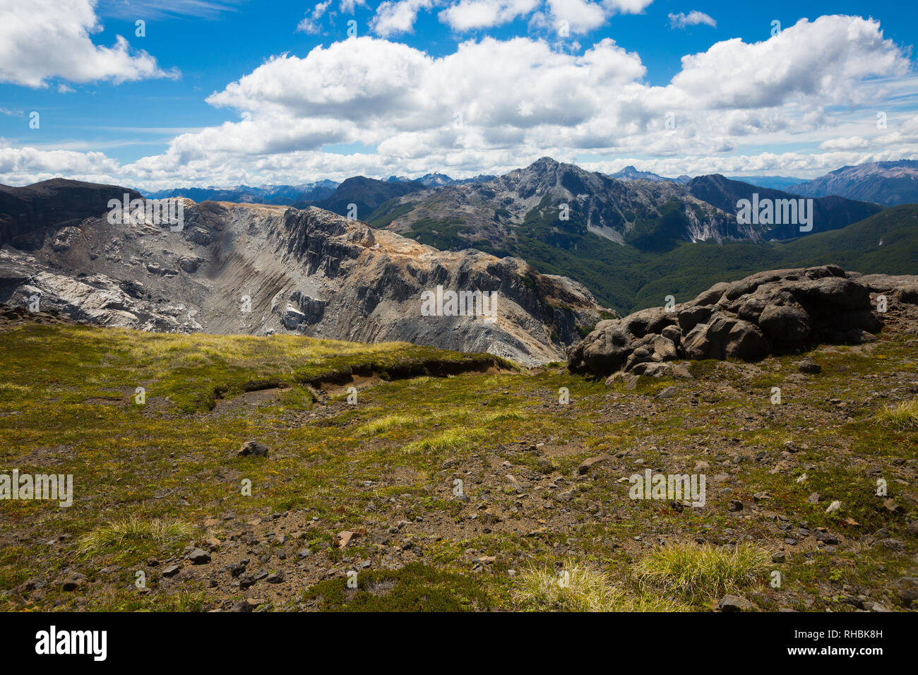 Rocky landscape with mosses and flowers in the Andes Mountains in ...