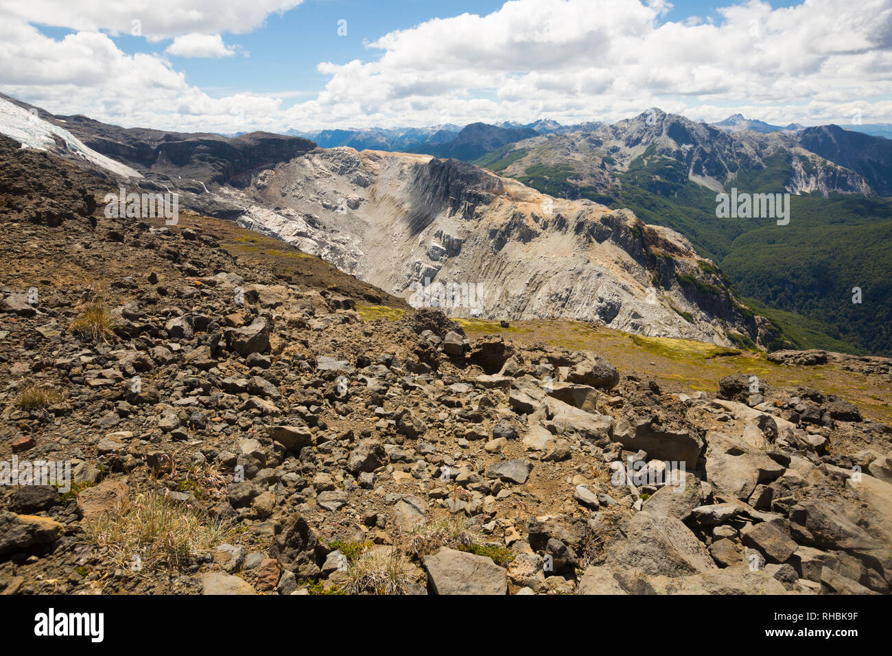 Stony landscape with flowering shrubs and mosses in the Andes Mountains ...