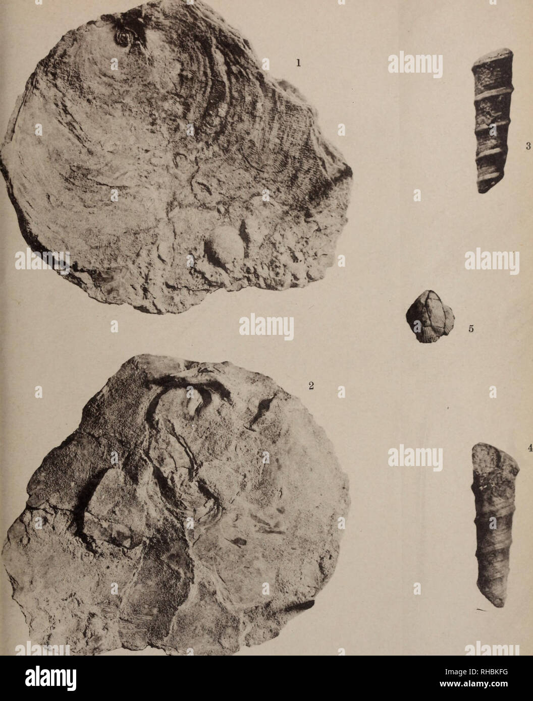 Geologico pag hi-res stock photography and images - Alamy